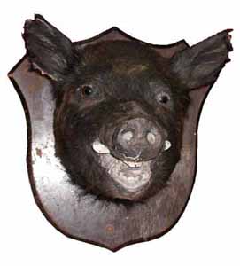 Party Props - Jungle